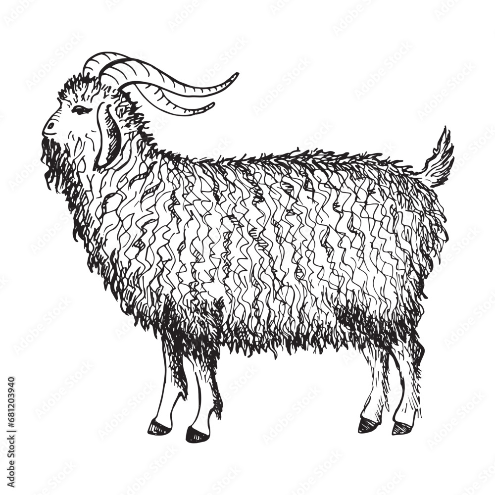 Goat hand drawn vector illustration with engraving on isolated ...