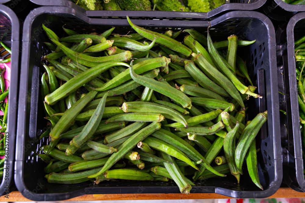 Photo shows garden stuff shop window with display plastic boxes filled ...