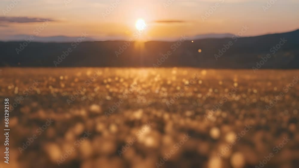 Digital animation field landscape at golden sunset light. Majestic ...