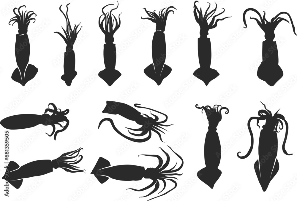 Squid silhouette, Squid svg, Squid clipart, Squid octopus silhouette ...