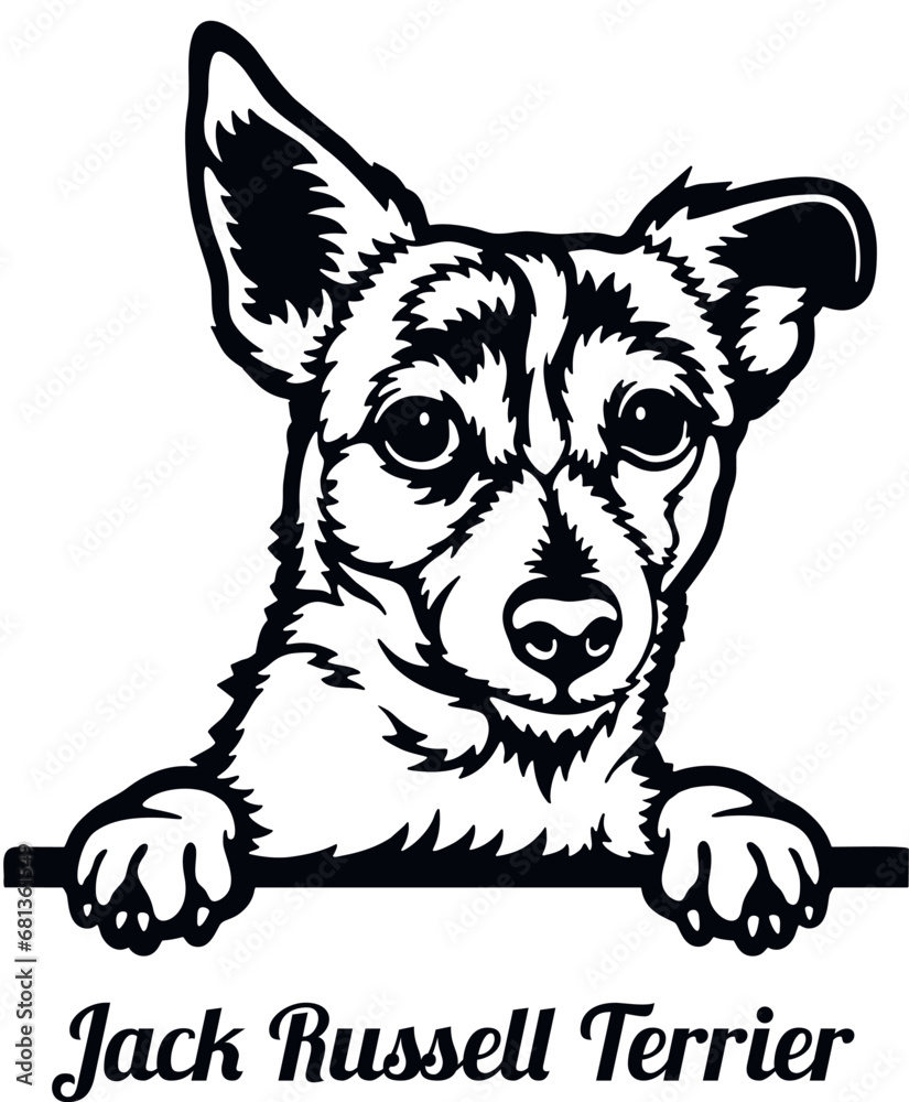 Jack Russell Terrier - Color Peeking Dogs - breed face head isolated on ...