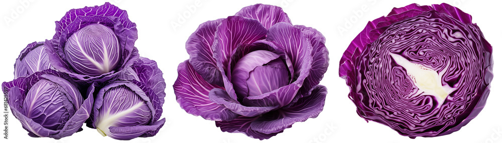 Red cabbage collection isolated on a transparent background, food ...
