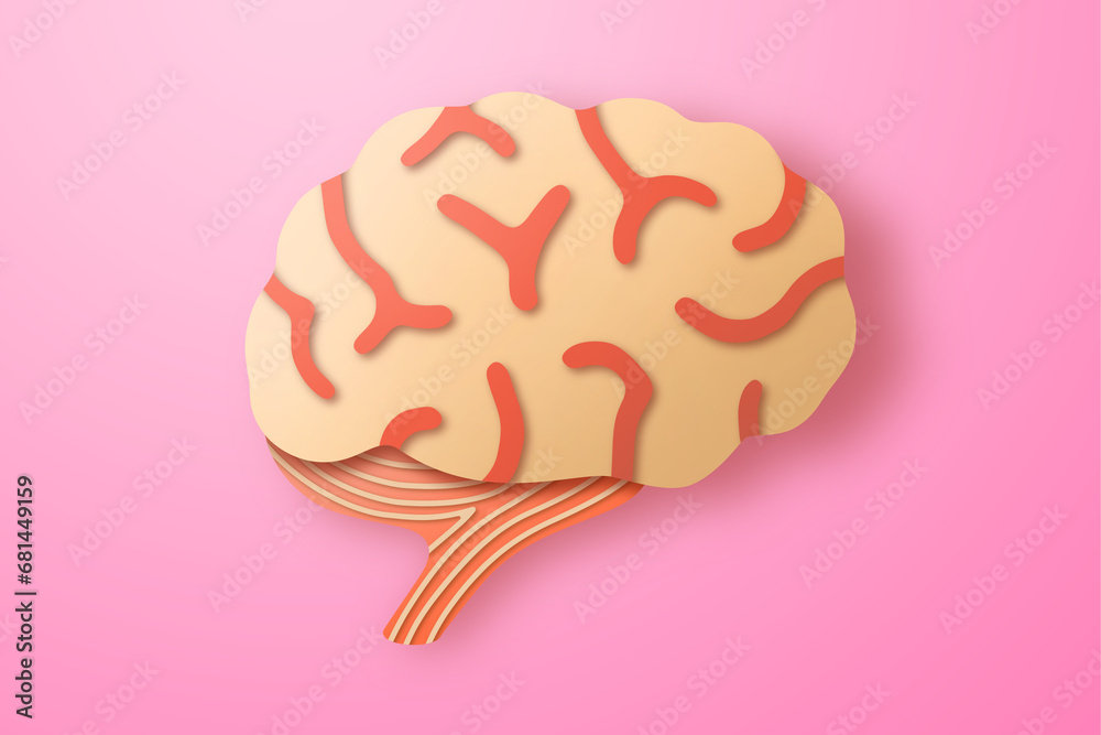 Paper craft of the human brain on pink background. Cross section of ...
