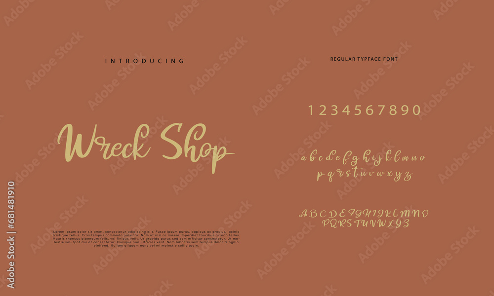 Handwritten Script font. Hand drawn brush style modern calligraphy ...