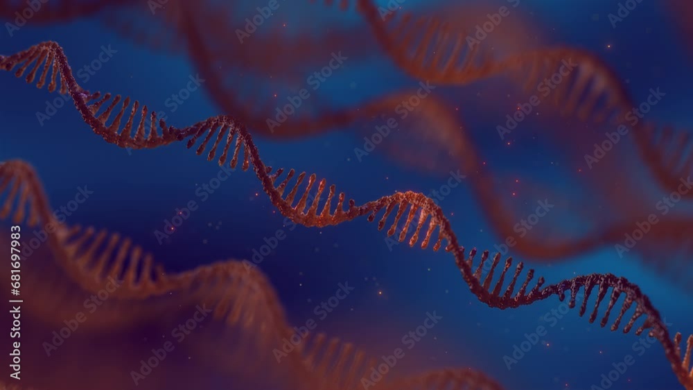 mRNA vaccine research. Animation of single strand ribonucleic acid (RNA ...