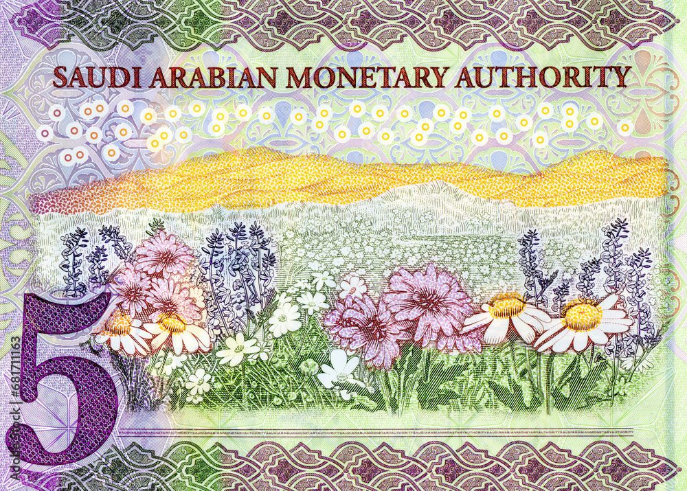 Fragment of the reverse side with field of flowers of the 5 SAR five ...