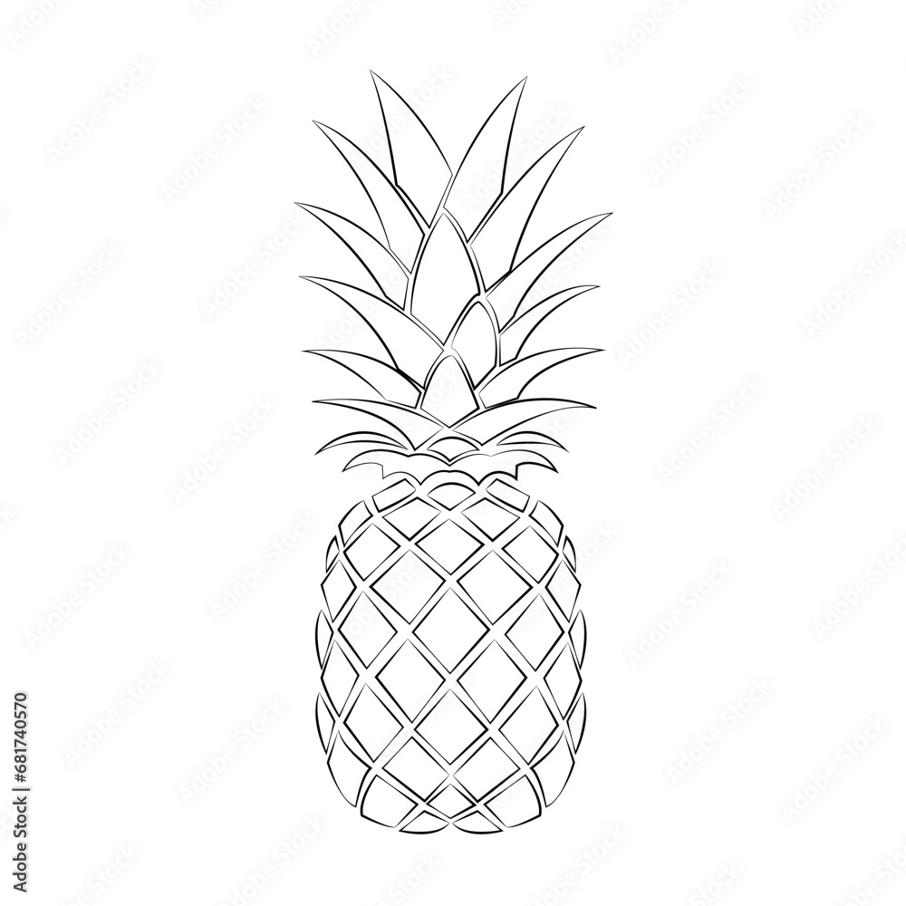 Vector coloring page, pencil sketch, outline drawing of pineapple on ...