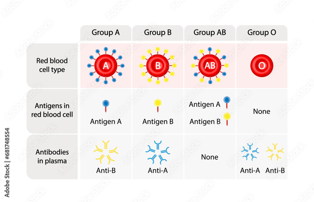 Abo Blood Group Concept Design. Blood donation, ABO Blood groups. four ...