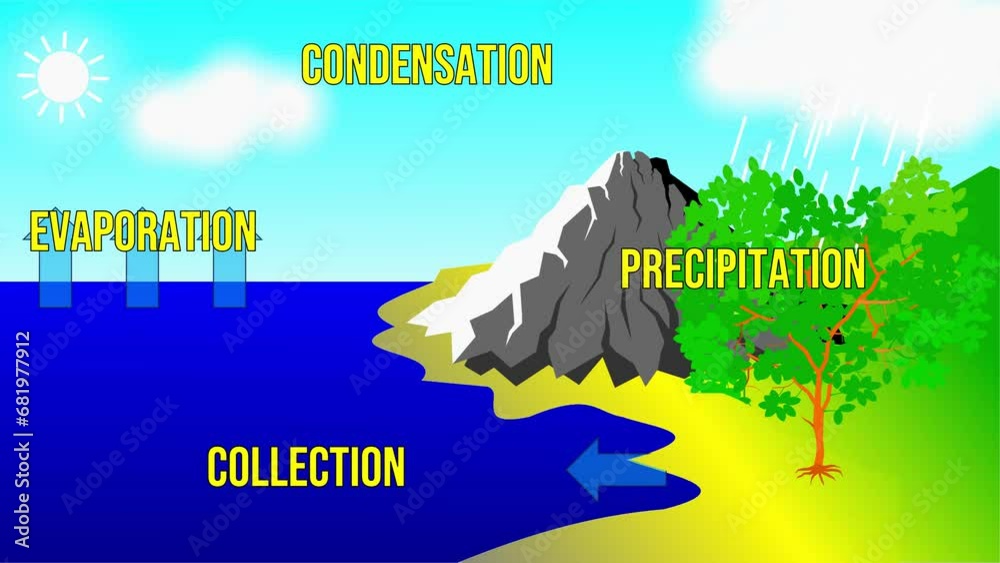 Animation of the water cycle consists of evaporation, condensation ...