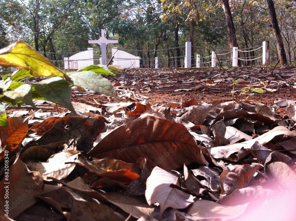 Long Tan cross memorial with red leaves in Vung Tau- Vietnam. The Long ...