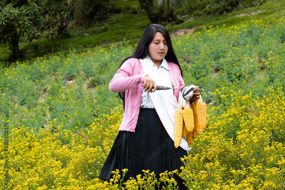 Mujer andina latinoamericana haciendo hilados de lana de oveja ...