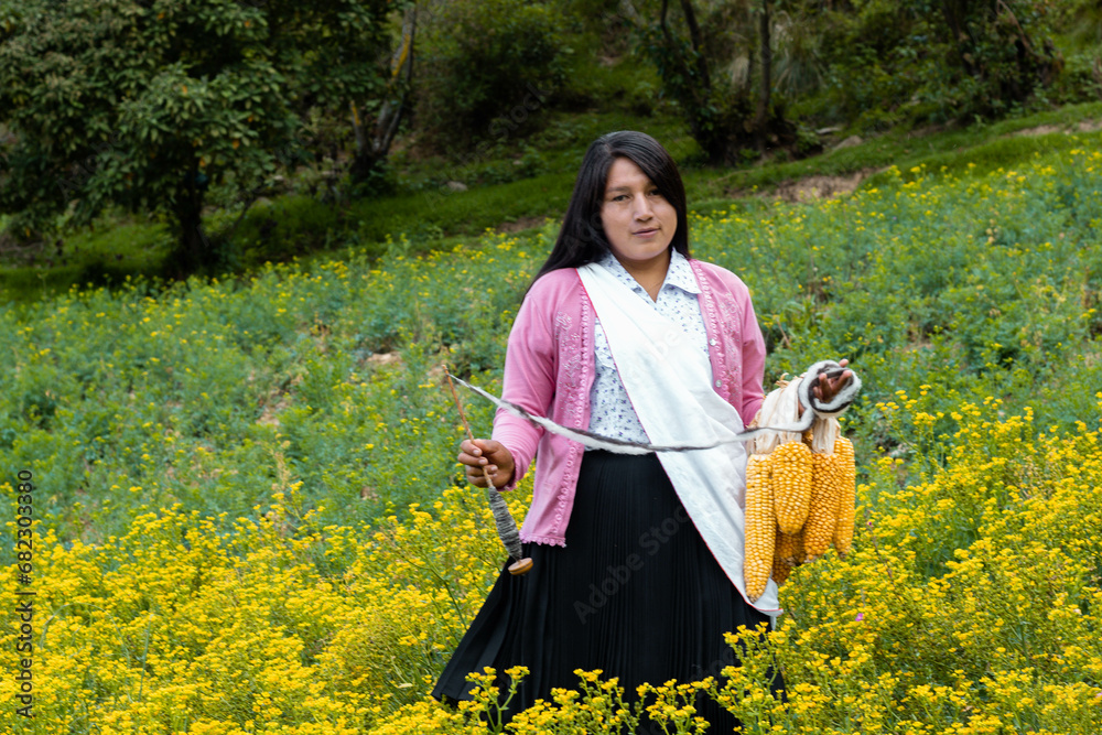 Mujer andina latinoamericana haciendo hilados de lana de oveja ...
