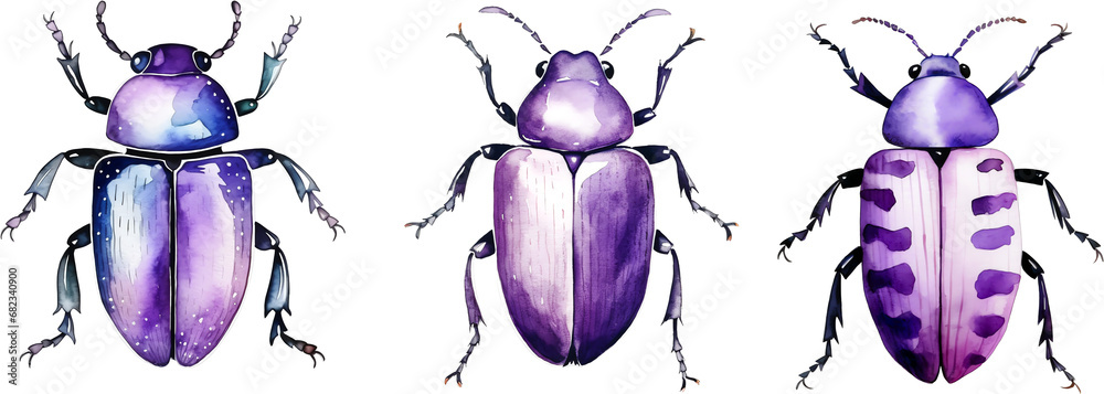 purple beetle bug watercolor clipart isolated on transparent background ...