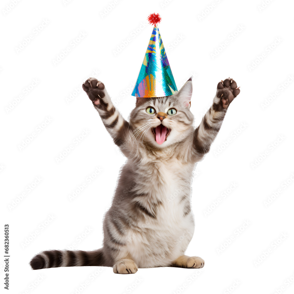 Cats that have fun and participate in a party on a transparent background PNG Stock Photo ...