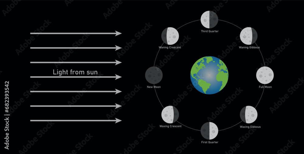 Phase of the moon diagram. The moon orbits around the earth. Third ...