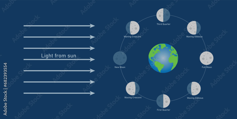 Phase of the moon diagram. The moon orbits around the earth. Third ...