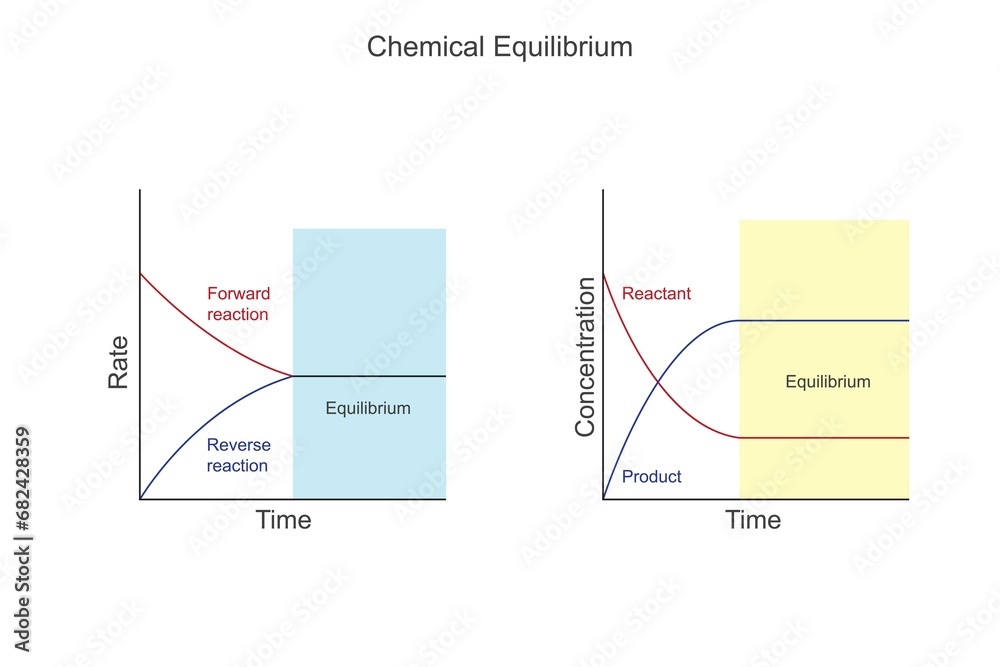 Chemical equilibrium is a dynamic state where the rates of forward and ... Chemical equilibrium is a dynamic state where the rates of forward and ...