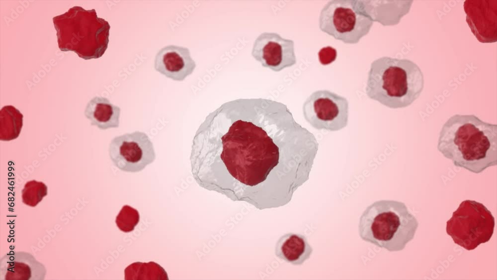 3d Renders cell Microscope Stem cells regeneration restore the blood ...