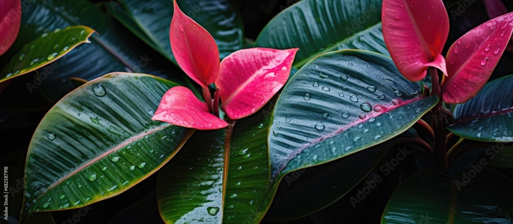 In the heart of a lush green garden, the tropical tree stood tall, its ...