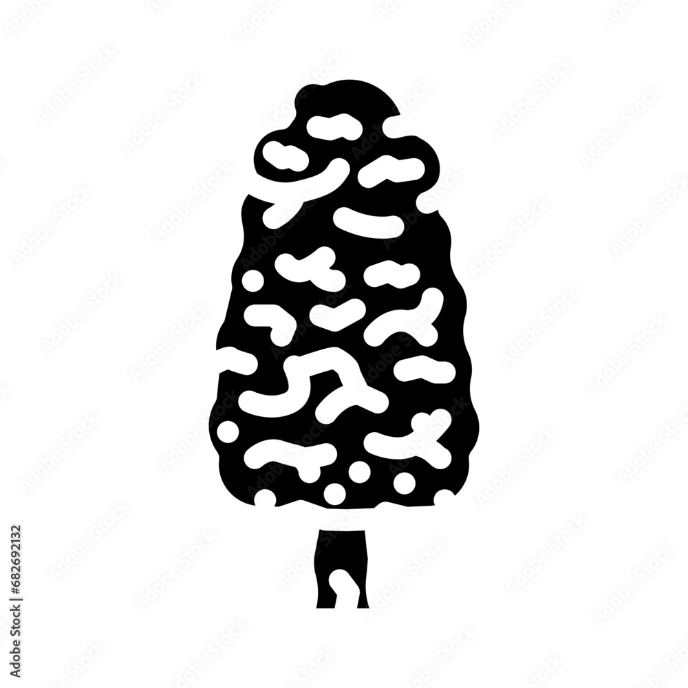 kauri tree jungle amazon glyph icon vector. kauri tree jungle amazon ...