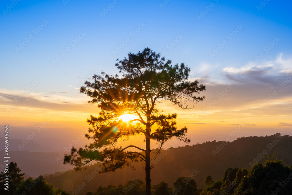 Sun rays shine through trees on a hill mountain in Huai Nam Dang ...