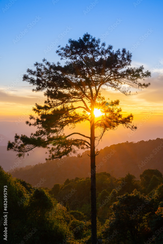 Sun rays shine through trees on a hill mountain in Huai Nam Dang ...