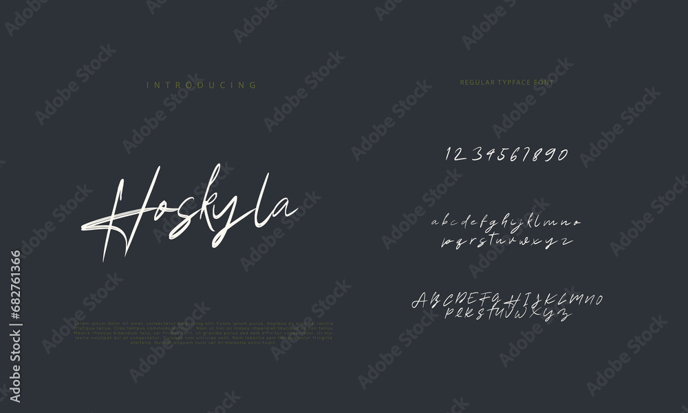 Handwritten Script font. Hand drawn brush style modern calligraphy ...