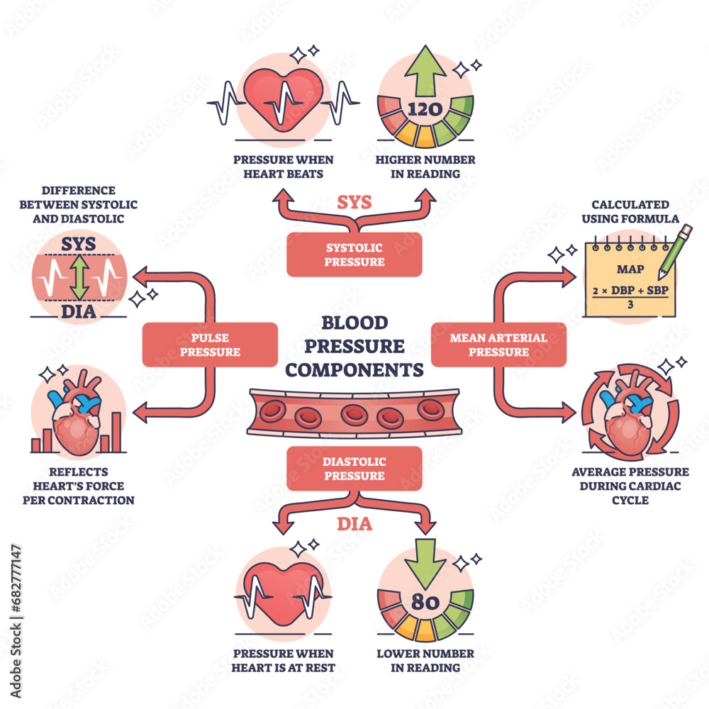 Components of blood pressure and normal heart rate control outline ...