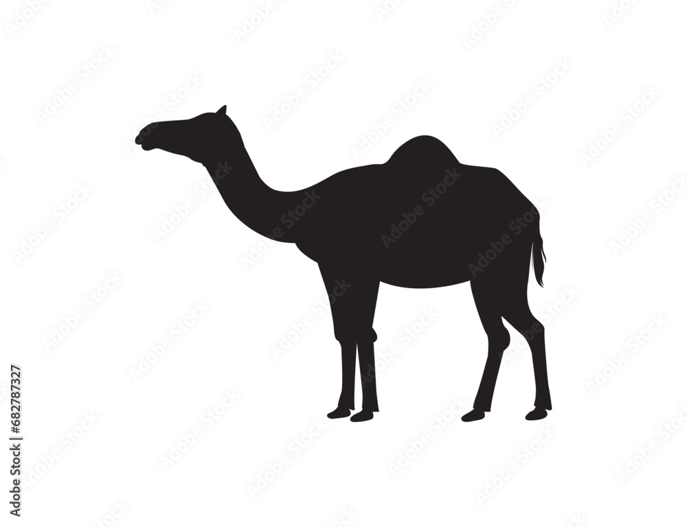 Camel logo icon, camel walking, black and white vector silhouette of a ...