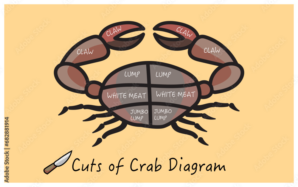cuts of crab seafood diagram Stock Vector | Adobe Stock