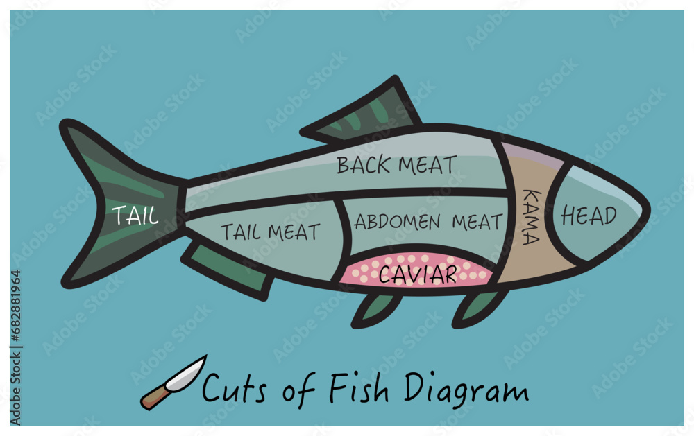 cuts of fish seafood diagram Stock Vector | Adobe Stock