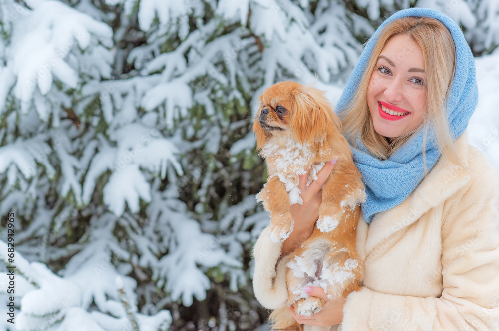 Smiling happy Lady with a young Pekingese cute dog in the snow park ...