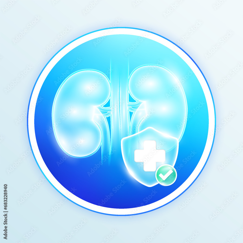 Health care kidney human internal organs. Medical symbol cross in blue ...