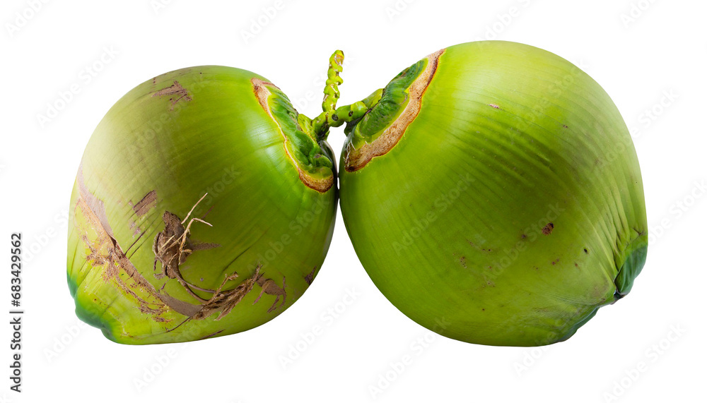 Green coconuts are isolated on a transparent background. Green coconut ...