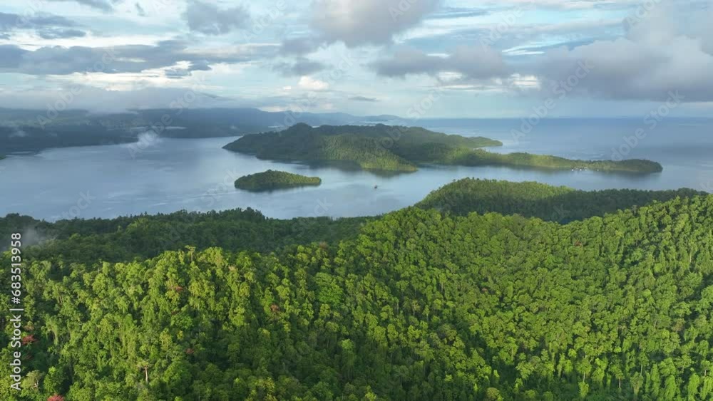 Vidéo Stock Early sunlight illuminates rainforest growing on the island ...