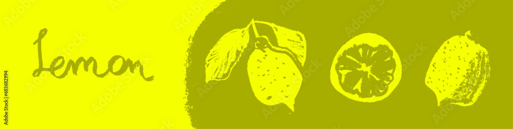Template lemon banner with empty space for text. Lemon illustration in ...