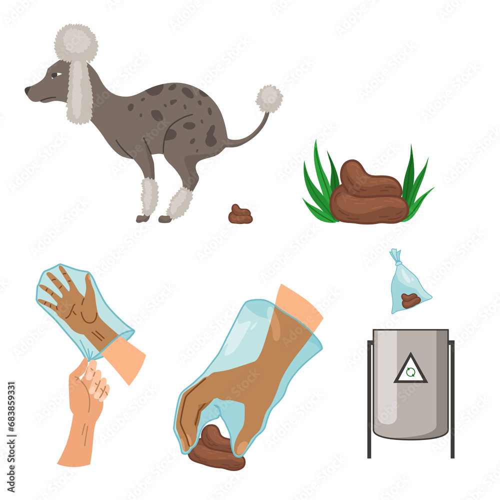 Dog poo clean up steps infographic set. poster about hygiene animal ...