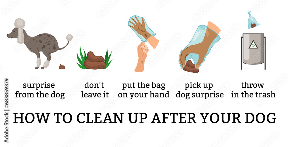 Dog poo clean up steps infographic set. poster about hygiene animal ...