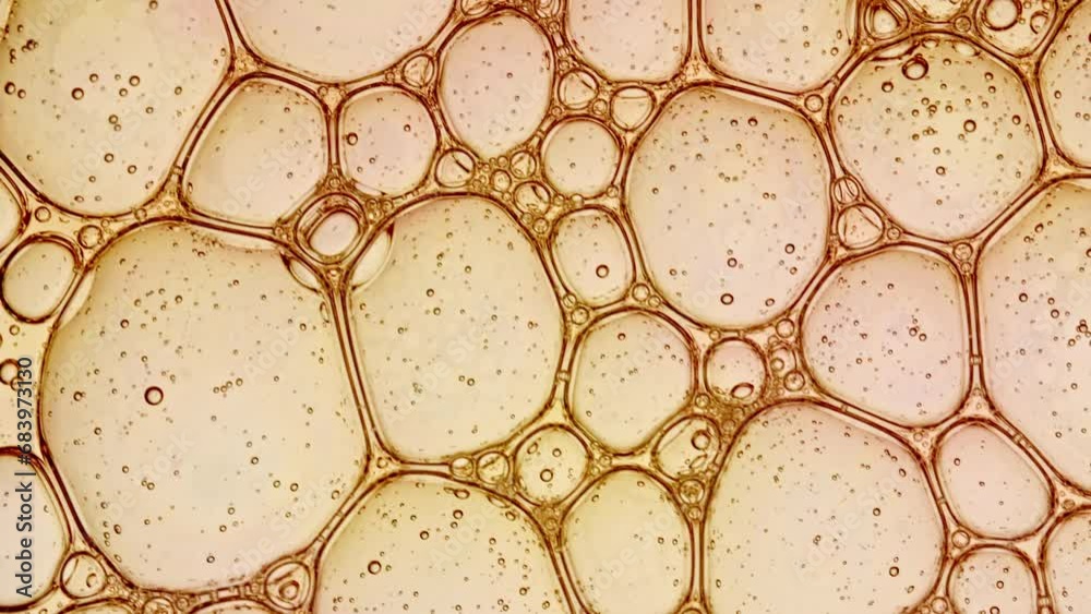 Transparent cosmetic gel fluid with molecule bubbles oil distribution ...