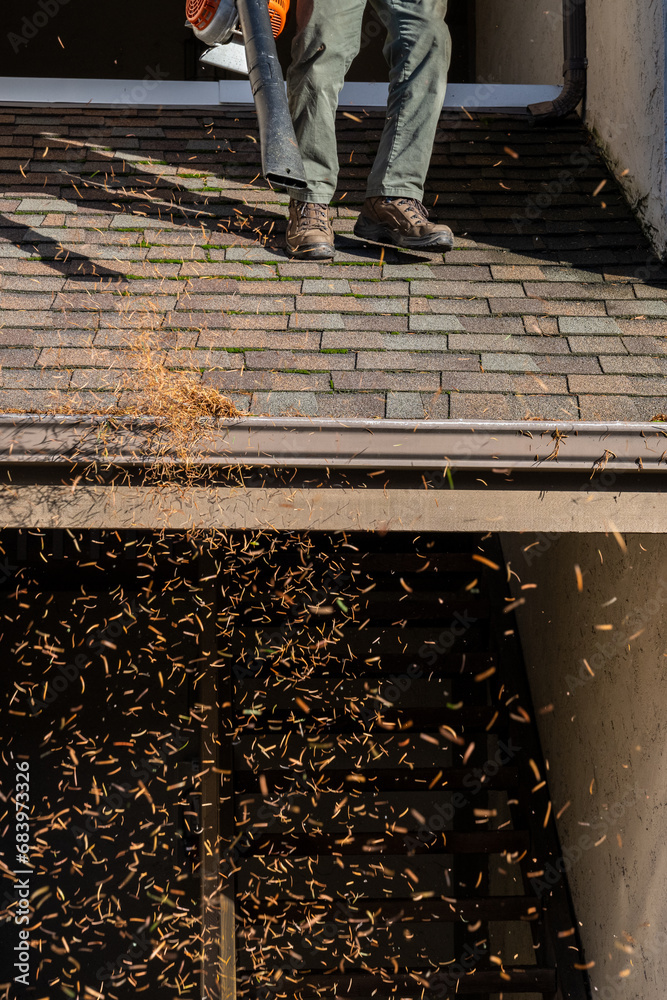 Fall pine needle debris flying in the air as a senior man on a rooftop ...