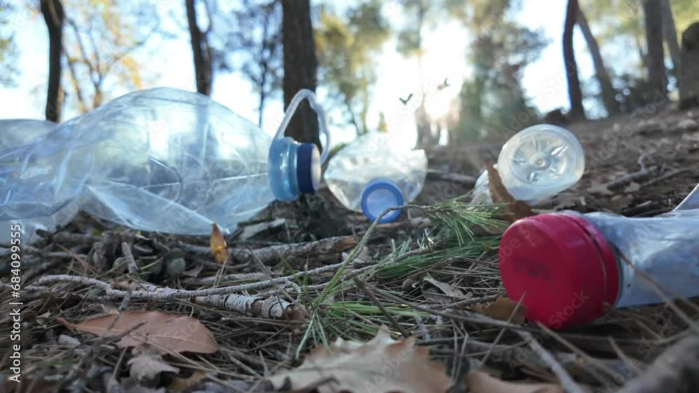 Addressing litter, waste, and plastic pollution in forests to promote ...