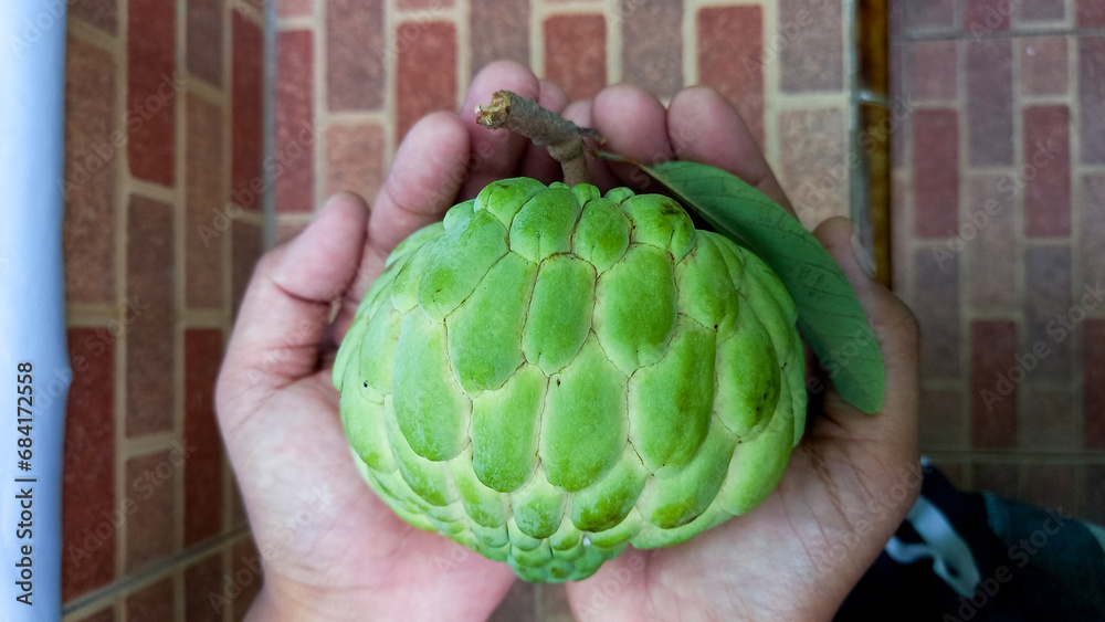 melwa fruit or nona fruit. This is the nona fruit in Indonesia. This ...