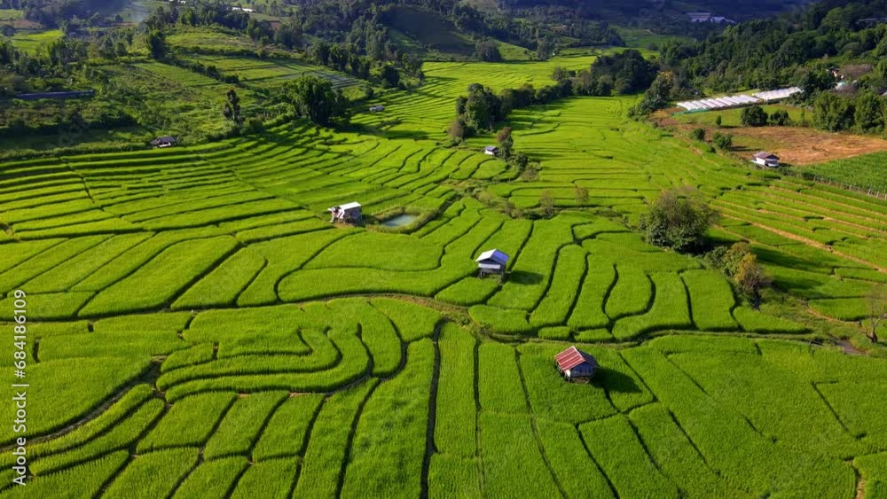 Paddy rice farmland in Northern Thailand, rice field terraces in North ...