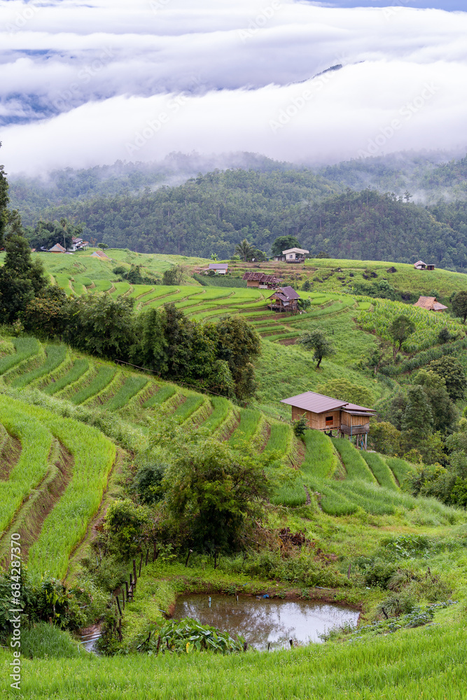Morning cloud fog or mist over the agriculture field. Misty in Terraced ...