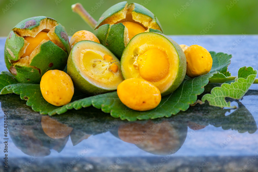 Foto de Typical ripe pequi fruit (caryocar brasiliense) in fine details ...