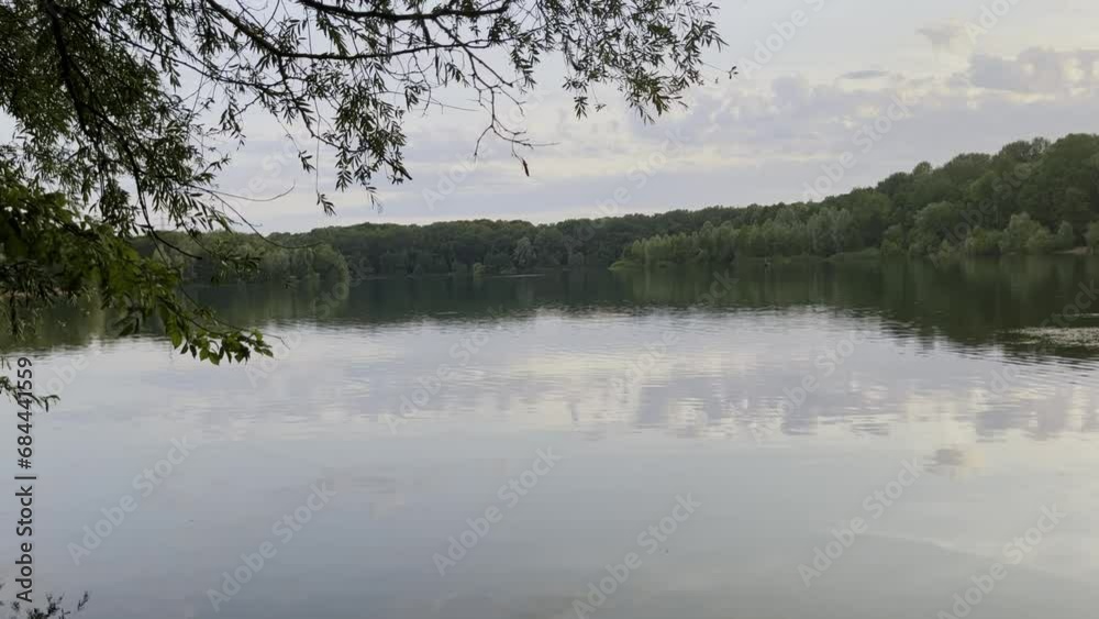 Small lake near Cologne with calm water with trees around and on the ...