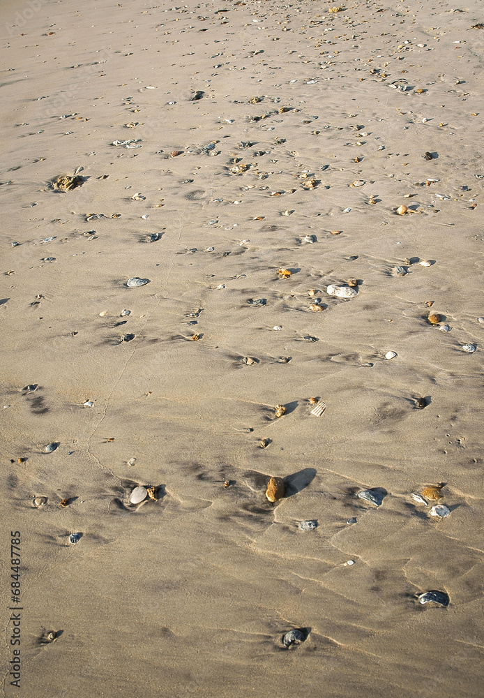 Sand and Sea Shells at the Outer Banks Island in North Carolina Stock ...