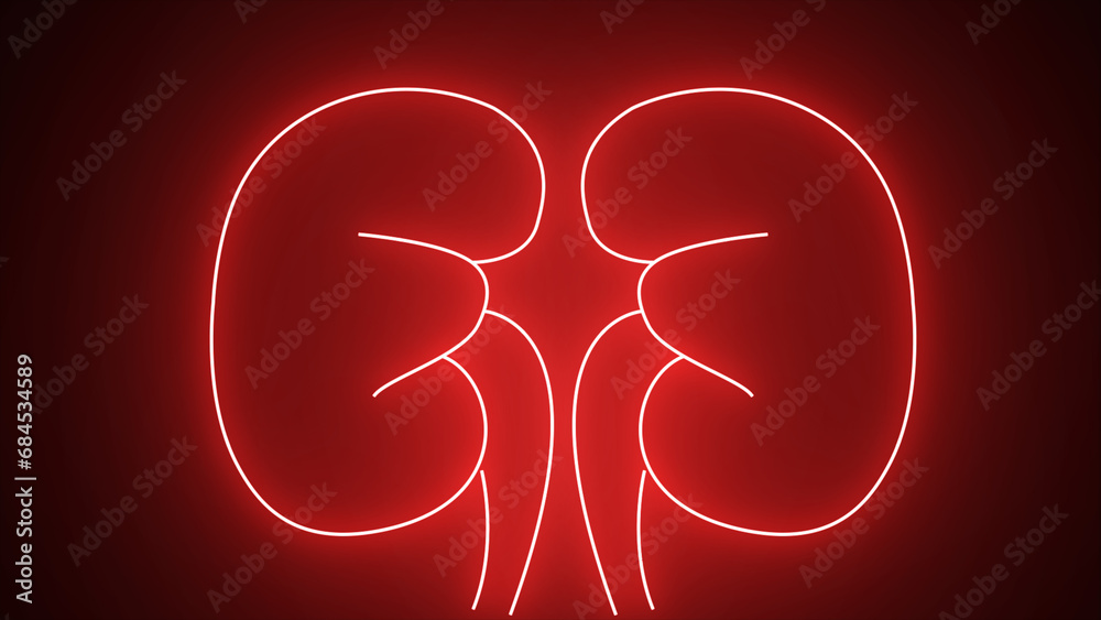 Glowing-red neon line Human kidney icon isolated on a black background ...