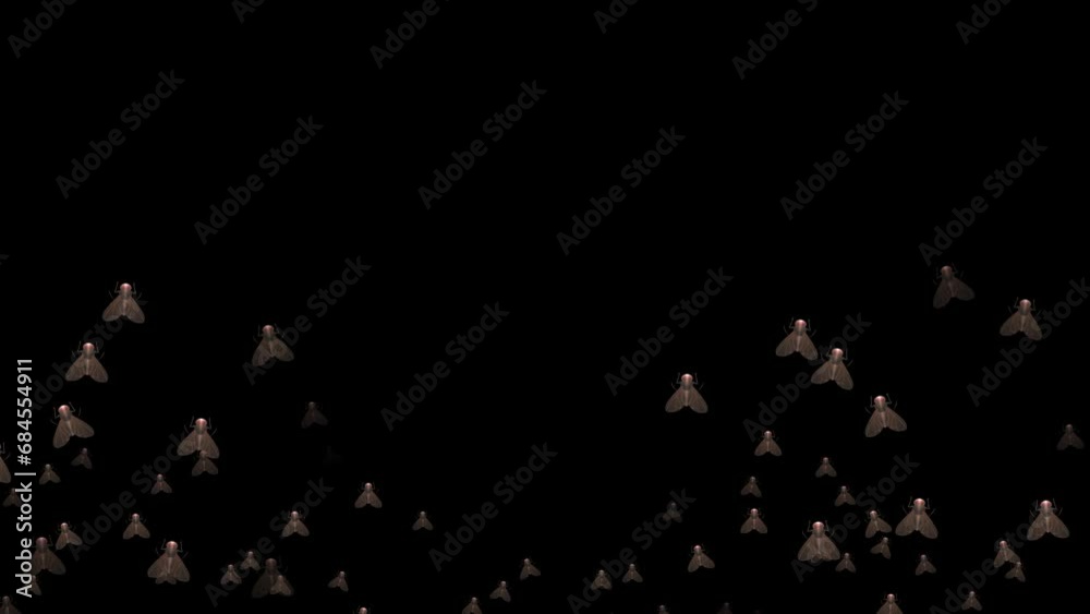 Fly emoji, Insect emoticon, Bug symbol, Emoji of a fly, Flying insect ...