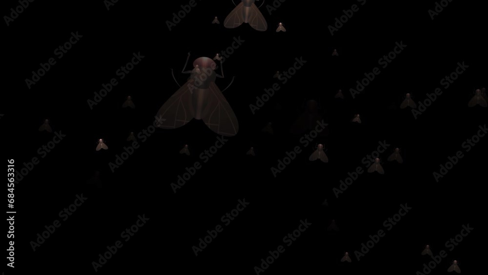 Fly emoji, Insect emoticon, Bug symbol, Emoji of a fly, Flying insect ...